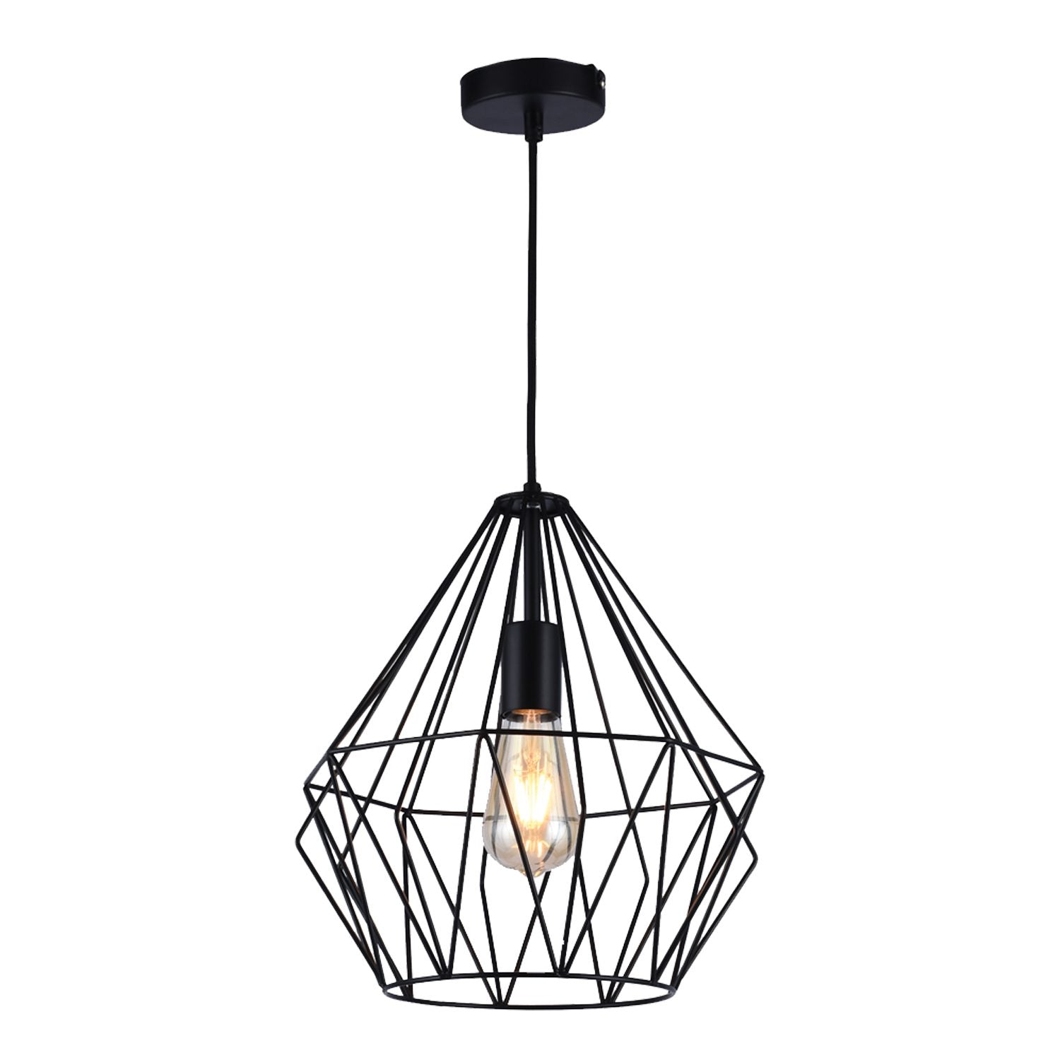 Pendant Fixture 1 Lamp Black - Sterling – Archimat