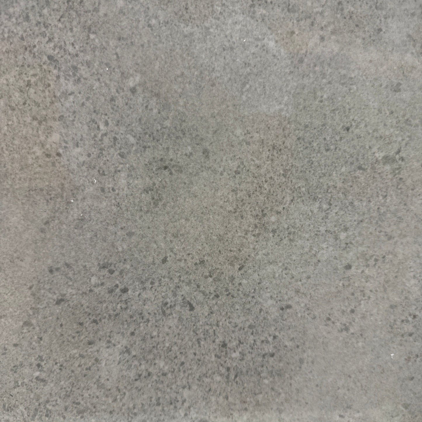 Tile Porcelain Polished Light Grey 12x24 in – Archimat