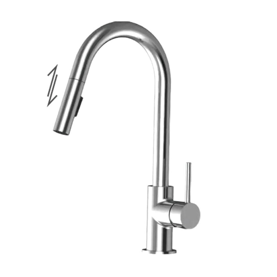 Single-handle kitchen faucet ECHO with pull-out & 2-Function hand show ...